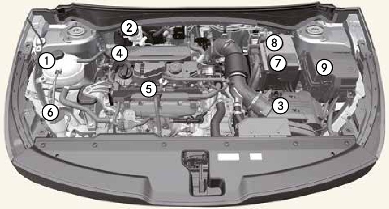 Kia Sportage 2021 Manual | ManualsLib