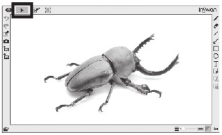 Inswan INS-1 Manual | ManualsLib
