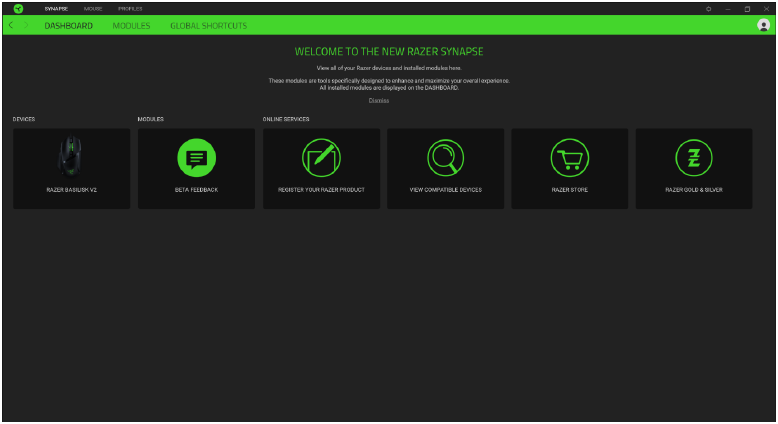 RAZER BASILISK V2 (RZ01-03160100-R3U1) Manual | ManualsLib
