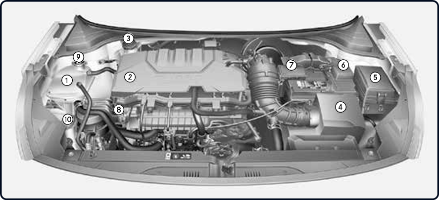 Kia Stonic 2022 Manual | ManualsLib