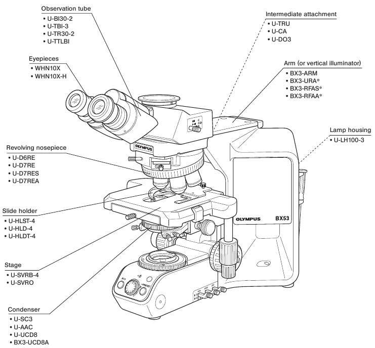 Olympus BX53 Manual | ManualsLib