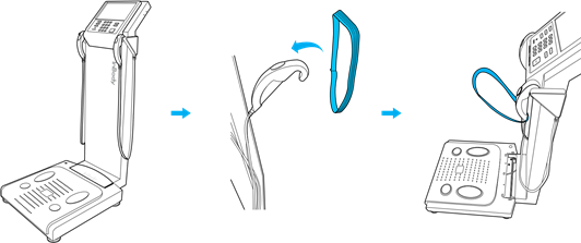 InBody 770 Manual | ManualsLib