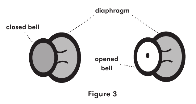 EKO CORE Manual | ManualsLib