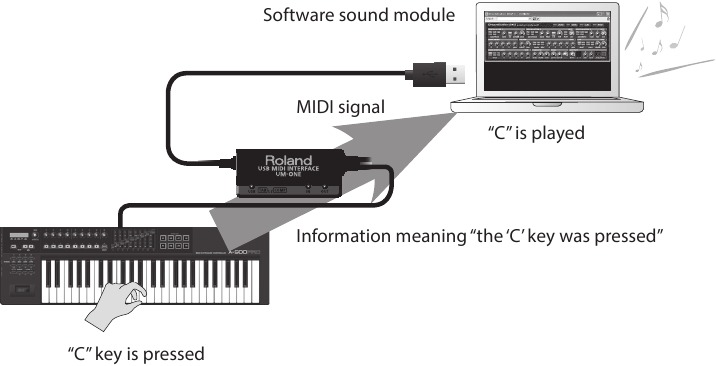 Roland UM-ONE Manual | ManualsLib