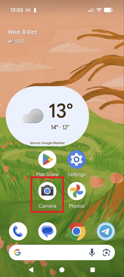How to Capture Stunning Astrophotos with Google Pixel 10 Pro | ManualsLib