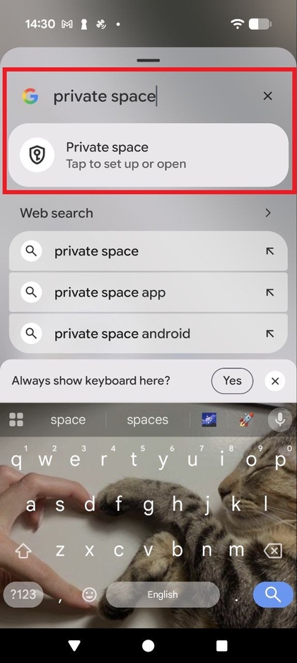 How to Hide Apps on Google Pixel 10 Using Private Space | ManualsLib