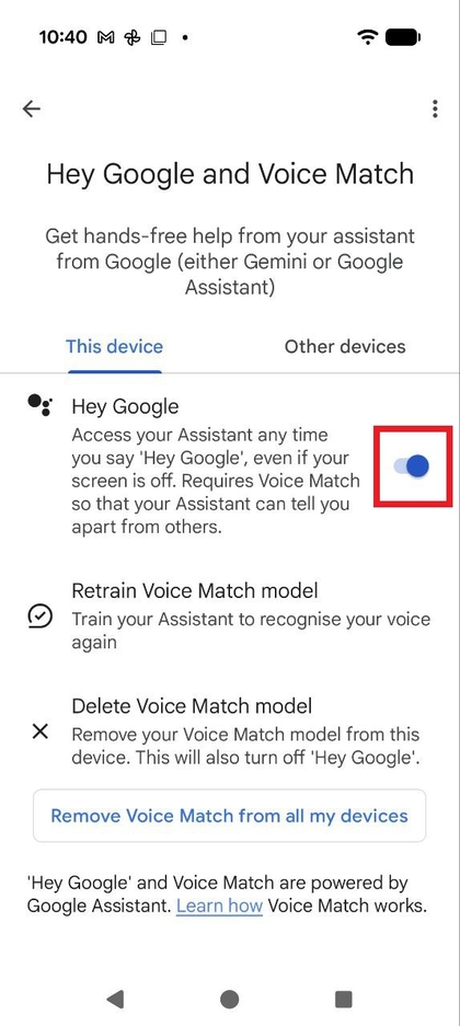 How to Enable Hey Google Voice Command on Google Pixel 10 Pro | ManualsLib