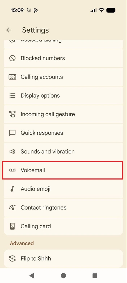 How to Set Up Voicemail on Your Google Pixel 10 Pro | ManualsLib