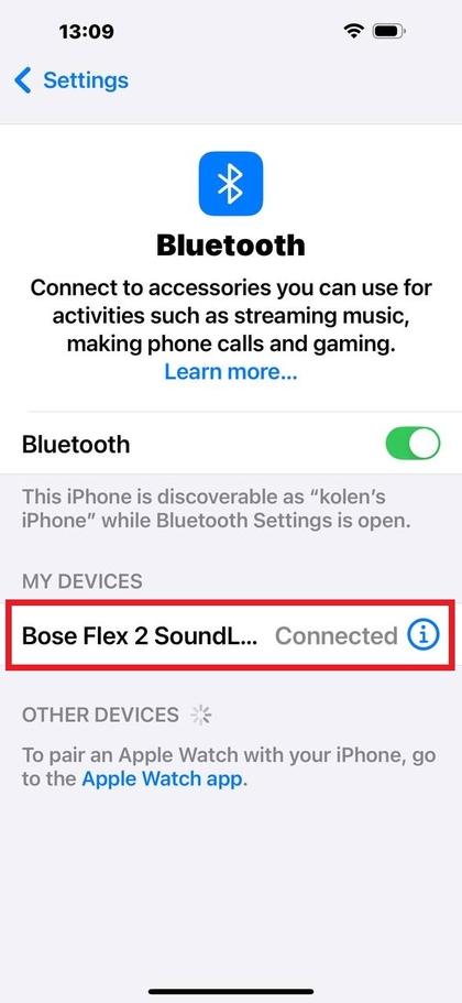 How to Check Firmware Version on Bose SoundLink Flex II | ManualsLib