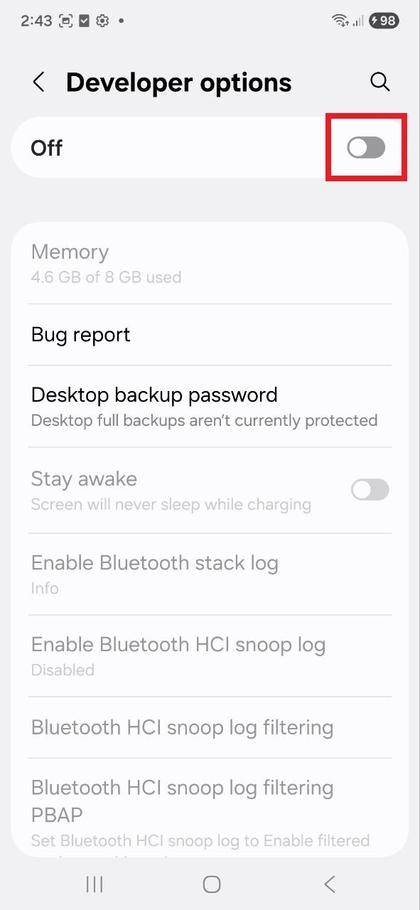 How to Enable or Disable Developer Options on Samsung Galaxy S25 FE ...