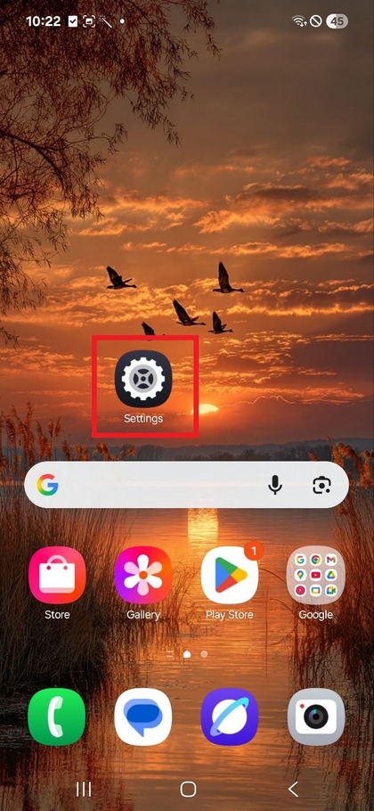 How to Set Screen Lock Type on Samsung Galaxy A17 5G | ManualsLib