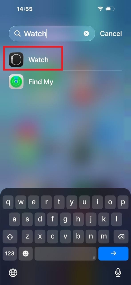 Apple Watch Series 11 - Setting Up Apple Pay | ManualsLib