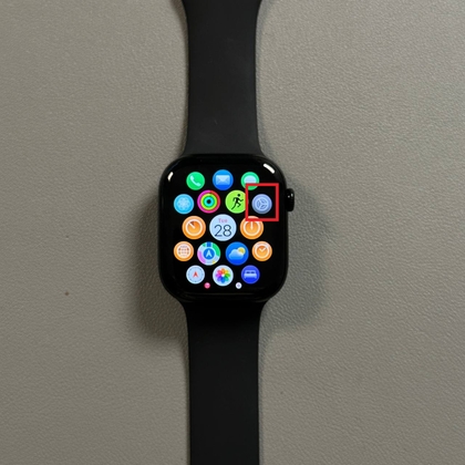 How to Adjust Volume and Sound Settings on Apple Watch Series 11 ...