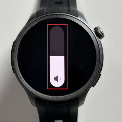 Amazfit Balance: How to Adjust Sound Volume | ManualsLib
