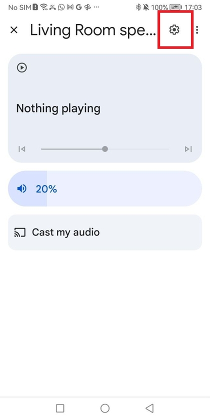 How to Update Firmware on Google Nest Audio | ManualsLib