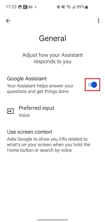 How to Enable and Manage Google Assistant on Xiaomi Redmi Buds 6 Lite ...