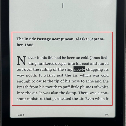How to Set Up Text to Speech VoiceView on Amazon Kindle Paperwhite ...