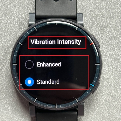 How to Change Vibration Intensity on AMAZFIT Active Max | ManualsLib