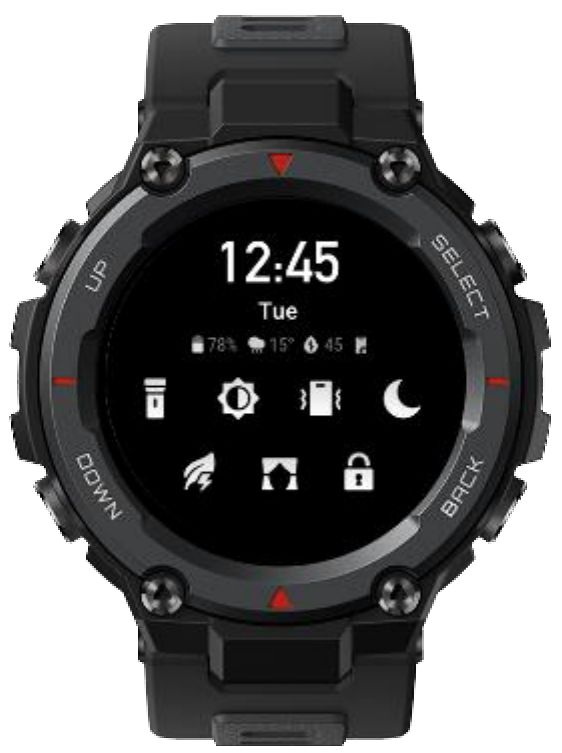 Amazfit T-Rex Pro Theatre Mode: How to Enable or Disable | ManualsLib