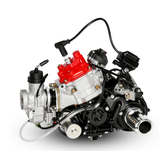 Rotax 125 MAX DD2 Ignition Timing Information | ManualsLib