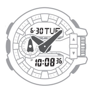 CASIO 5398 OPERATION MANUAL Pdf Download | ManualsLib