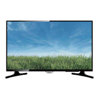 ProScan Tv User Manuals Download | ManualsLib