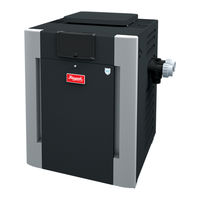 Raypak 406A Manuals | ManualsLib