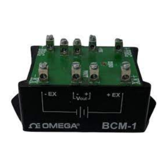 OMEGA ENGINEERING BCM-1 INSTRUCTION SHEET Pdf Download | ManualsLib