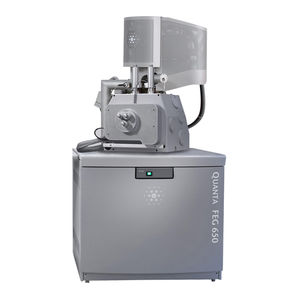 FEI QUANTA FEG 250 USER'S OPERATION MANUAL Pdf Download | ManualsLib