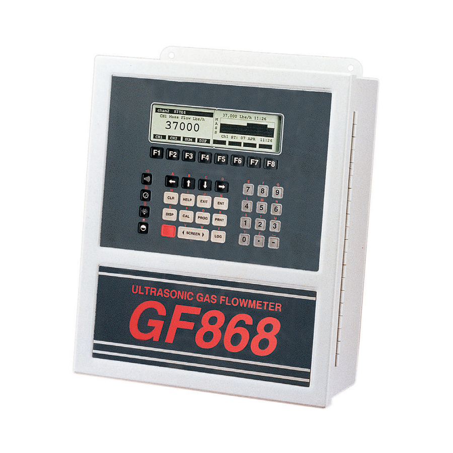 PANAMETRICS GF868 PROGRAMMING MANUAL Pdf Download | ManualsLib