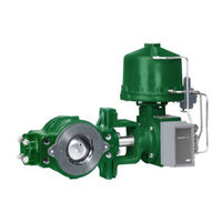 Fisher V250 Manuals | ManualsLib