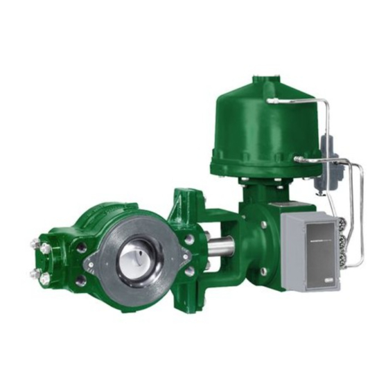 FISHER V250 INSTRUCTION MANUAL Pdf Download | ManualsLib