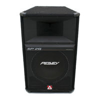 PEAVEY SP 2G SPECIFICATION SHEET Pdf Download | ManualsLib