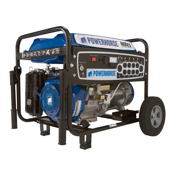 POWERHORSE M166114H OWNER'S MANUAL Pdf Download | ManualsLib