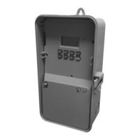 Tork Timer User Manuals Download | ManualsLib