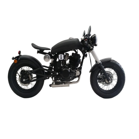 SSR MOTORSPORTS SNAKE EYES XF250-GS OWNER'S MANUAL Pdf Download ...