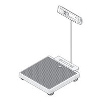 Seca Scales User Manuals Download | ManualsLib