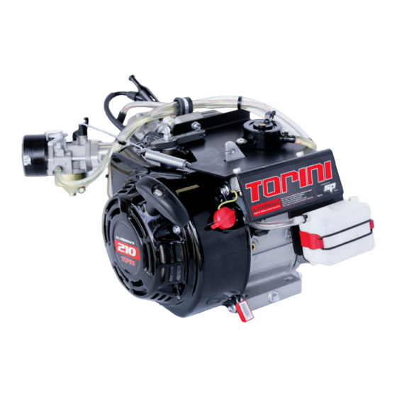 TORINI TC210 CLUBMAXX MANUAL Pdf Download | ManualsLib