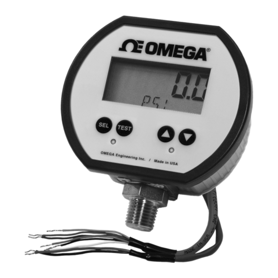 OMEGA DPG1000ADA-30V100 INSTRUCTION SHEET Pdf Download | ManualsLib