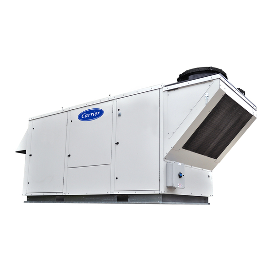 CARRIER 62X 03-35 INSTALLATION INSTRUCTIONS MANUAL Pdf Download ...