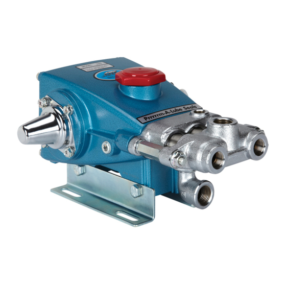 CAT PUMPS 280 WATER PUMP INSTALLATION AND START-UP INFORMATION | ManualsLib