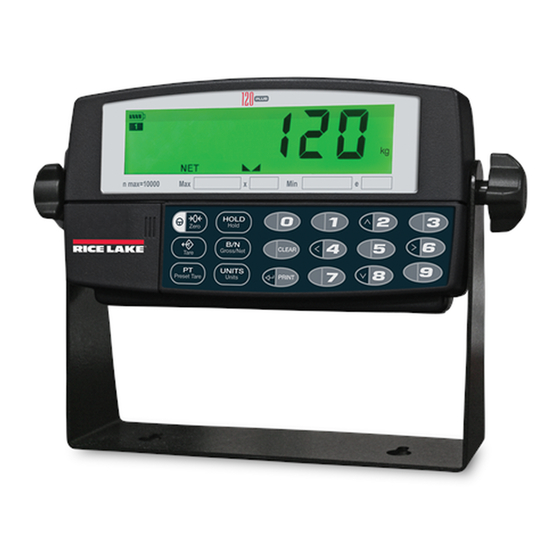 RICE LAKE 120 PLUS TECHNICAL MANUAL Pdf Download | ManualsLib