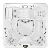 Sundance Maxxus 880 Manuals | ManualsLib