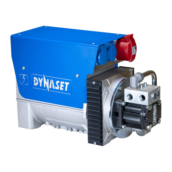 DYNASET HG 1 USER MANUAL Pdf Download | ManualsLib