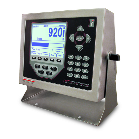 RICE LAKE 920I TECHNICAL MANUAL Pdf Download | ManualsLib