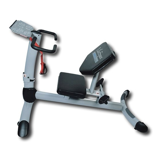 LIFESPAN STRETCH PARTNER ASSEMBLY INSTRUCTIONS Pdf Download | ManualsLib