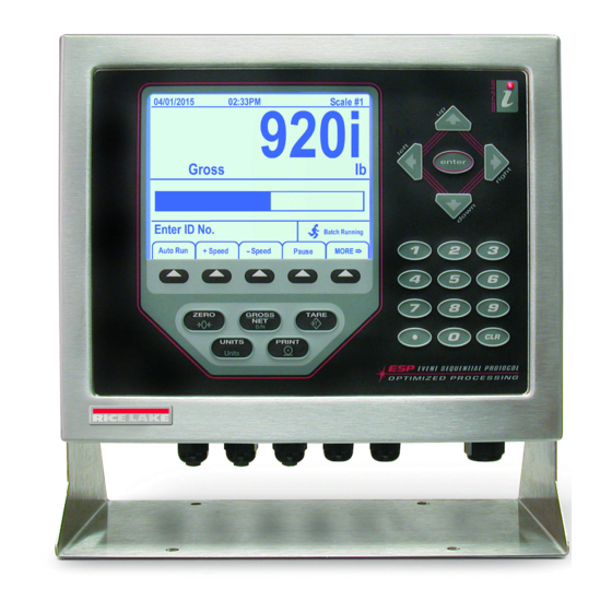 RICE LAKE 920I SERIES INSTALLATION INSTRUCTIONS MANUAL Pdf Download | ManualsLib