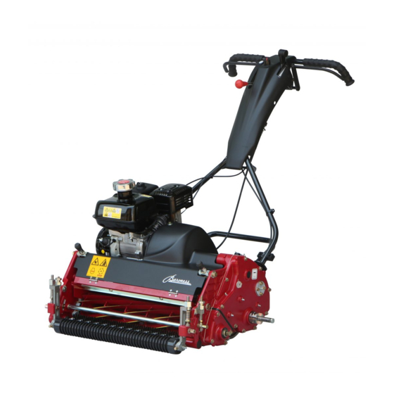 BARONESS LM56 INFORMATION LEAFLET Pdf Download | ManualsLib