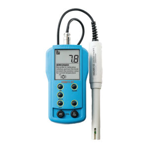 HANNA INSTRUMENTS HI9811-51 INSTRUCTION MANUAL Pdf Download | ManualsLib