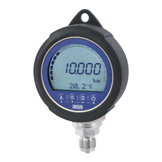 WIKA CPG1500 OPERATING INSTRUCTIONS MANUAL Pdf Download | ManualsLib